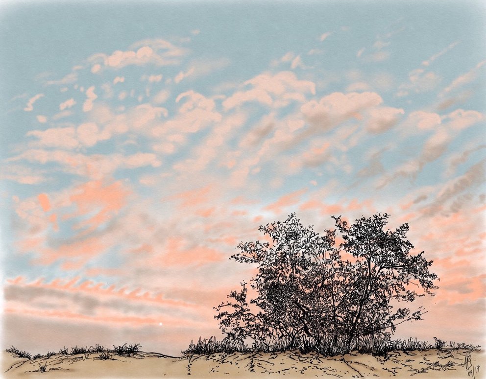 Painting the Australian Outback • Concepts App • Infinite, Flexible ...