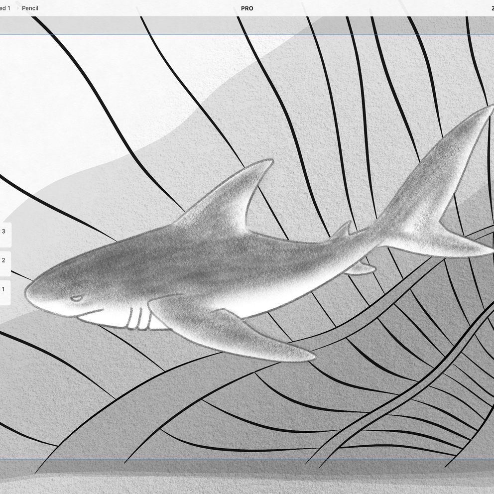 Creating a Project Template • Concepts App • Infinite, Flexible Sketching