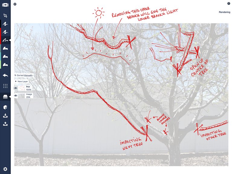 A Guide to Pruning Fruit Trees • Concepts App • Infinite, Flexible ...