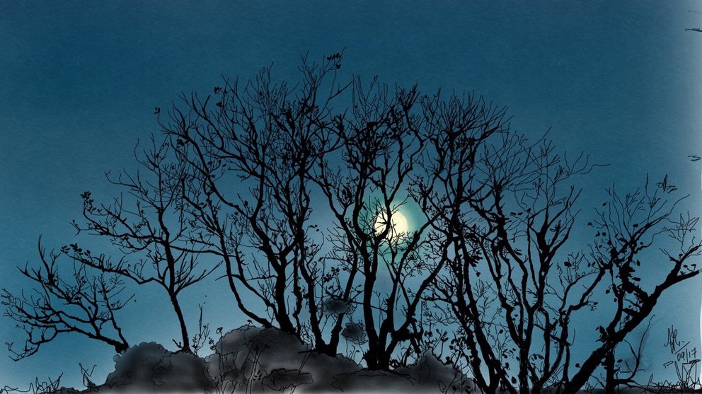 Painting the Australian Outback • Concepts App • Infinite, Flexible ...