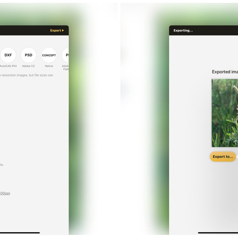 How to Touch Up a Photo • Concepts App • Infinite, Flexible Sketching