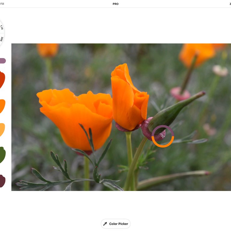 How To Use The Color Picker • Concepts App • Infinite Flexible Sketching