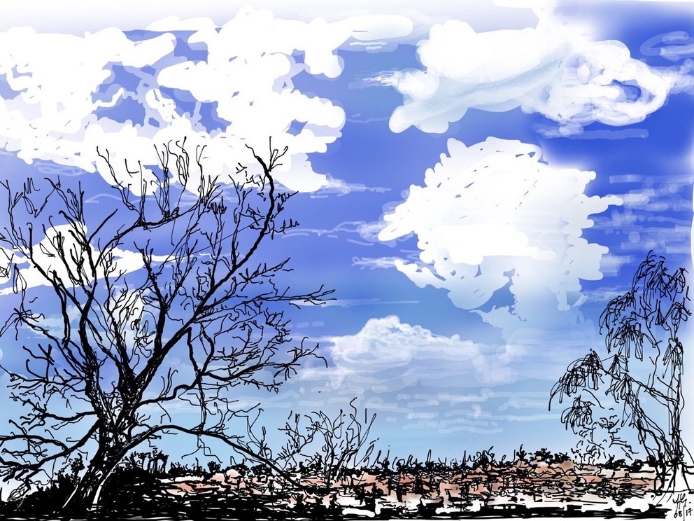 Painting the Australian Outback • Concepts App • Infinite, Flexible ...