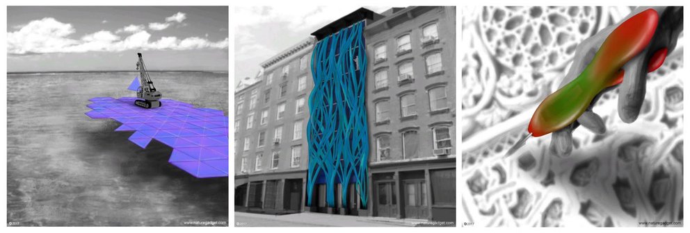 Nature Gadget: a Biological Approach to Technology of the Future ...