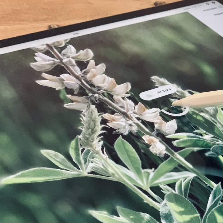 How to Touch Up a Photo • Concepts App • Infinite, Flexible Sketching