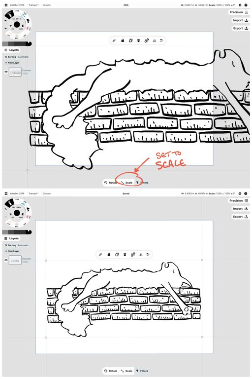 Working with Your Infinite Canvas • Concepts App • Infinite, Flexible ...