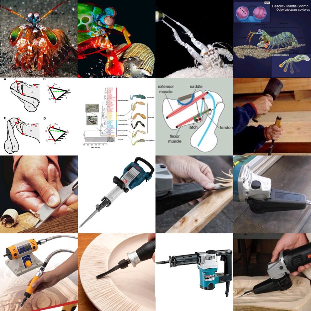 Nature Gadget: a Biological Approach to Technology of the Future ...