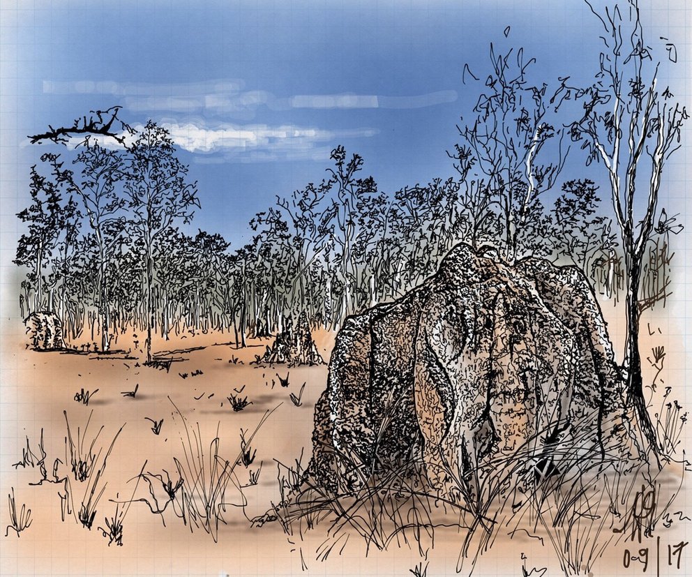 Painting the Australian Outback • Concepts App • Infinite, Flexible ...