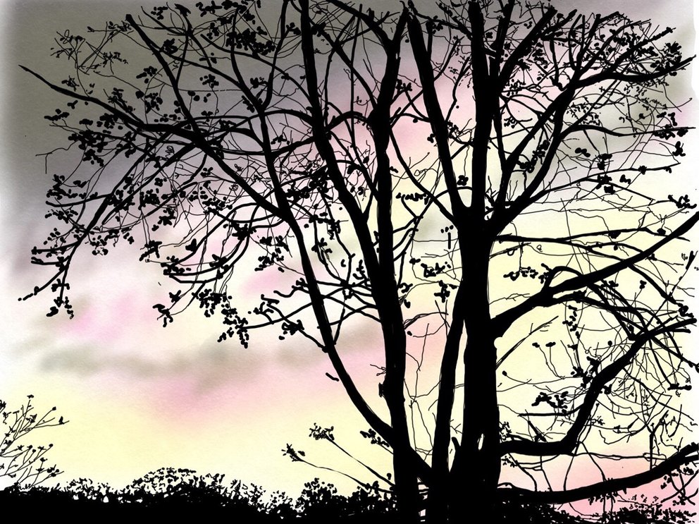 Painting the Australian Outback • Concepts App • Infinite, Flexible ...