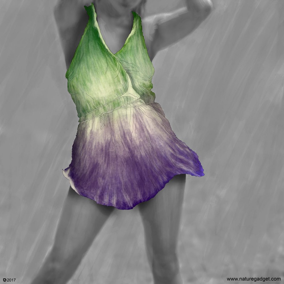 Nature Gadget: a Biological Approach to Technology of the Future ...