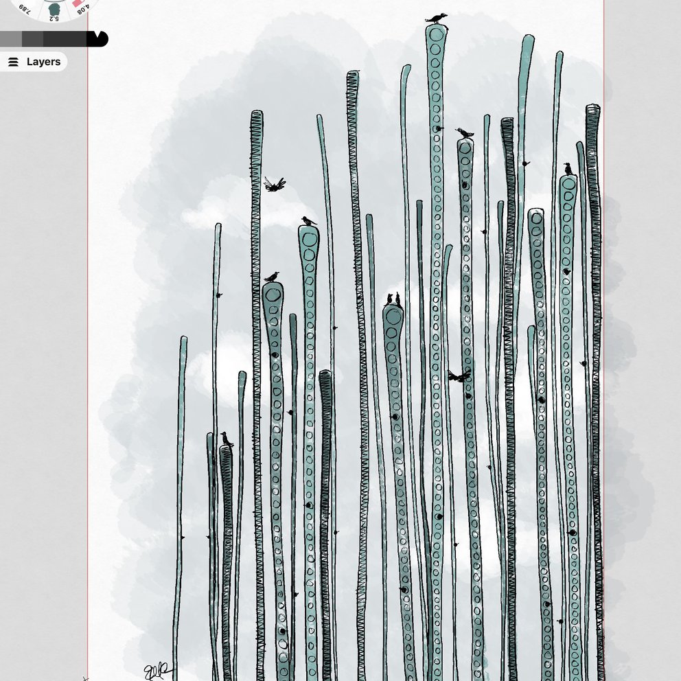 working-with-infinite-canvas • Concepts App • Infinite, Flexible Sketching