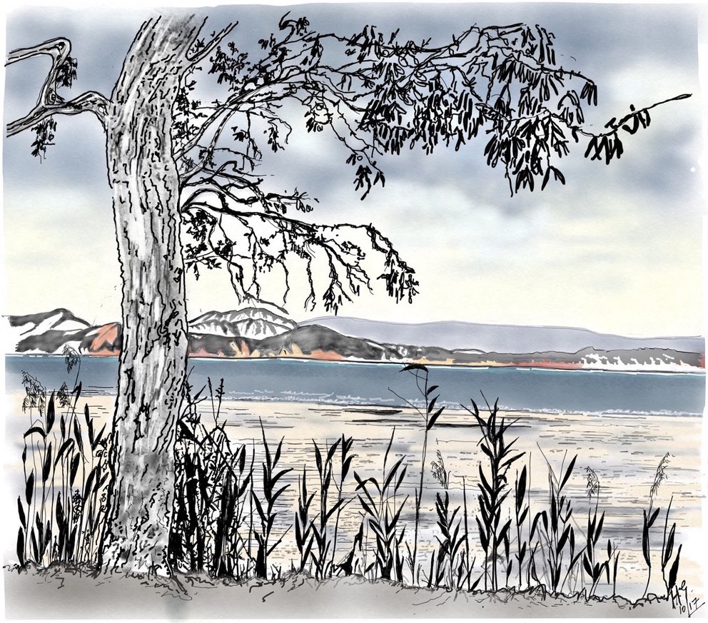 Painting the Australian Outback • Concepts App • Infinite, Flexible ...