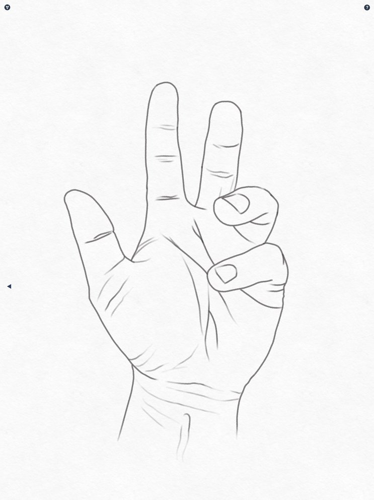 Draw Your Own Hand • Concepts App • Infinite, Flexible Sketching