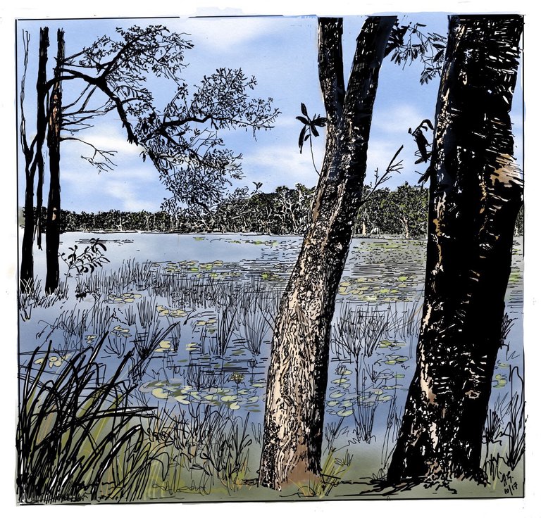 Painting the Australian Outback • Concepts App • Infinite, Flexible ...